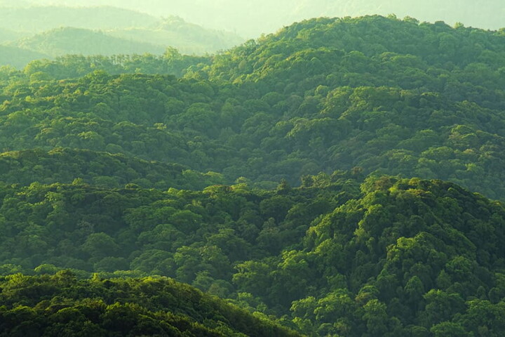 Pirelli's Yanzhou factory at the top for sustainability in China | Pirelli